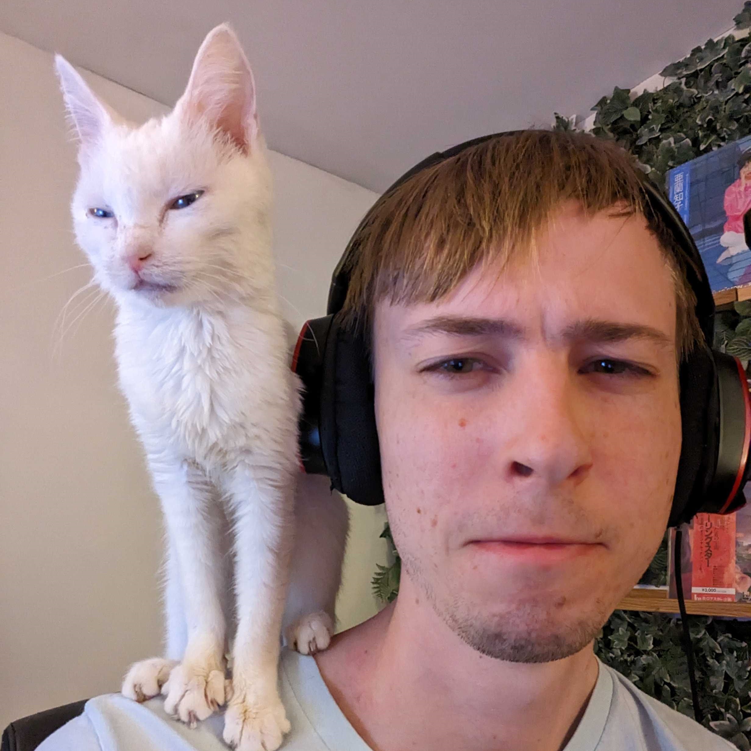 Andy Danger Portfolio